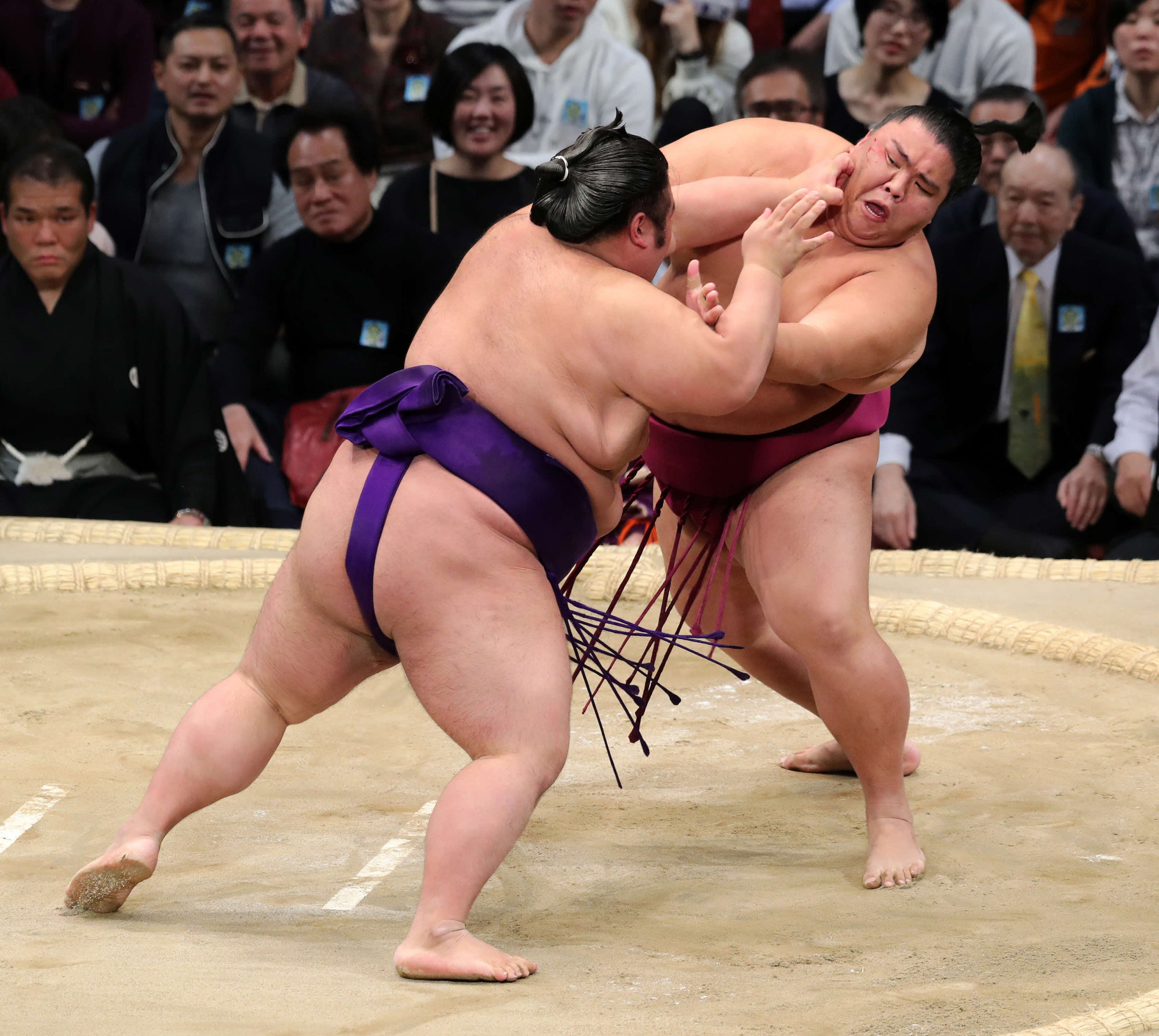 Are Sumo Wrestlers Healthy? [Not What You Think]